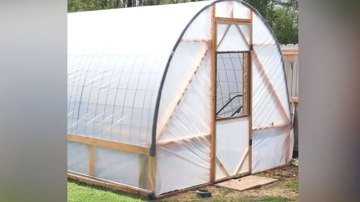 How This DIY Couple Built a Stunning Greenhouse with Cattle Panels On a ...